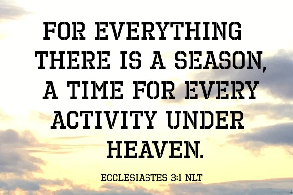 God's Seasons